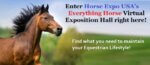 The Hoof Cinch for Laminitis and Founder Relief - Horse Expo USA